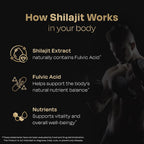 natural energy supplement with Shilajit