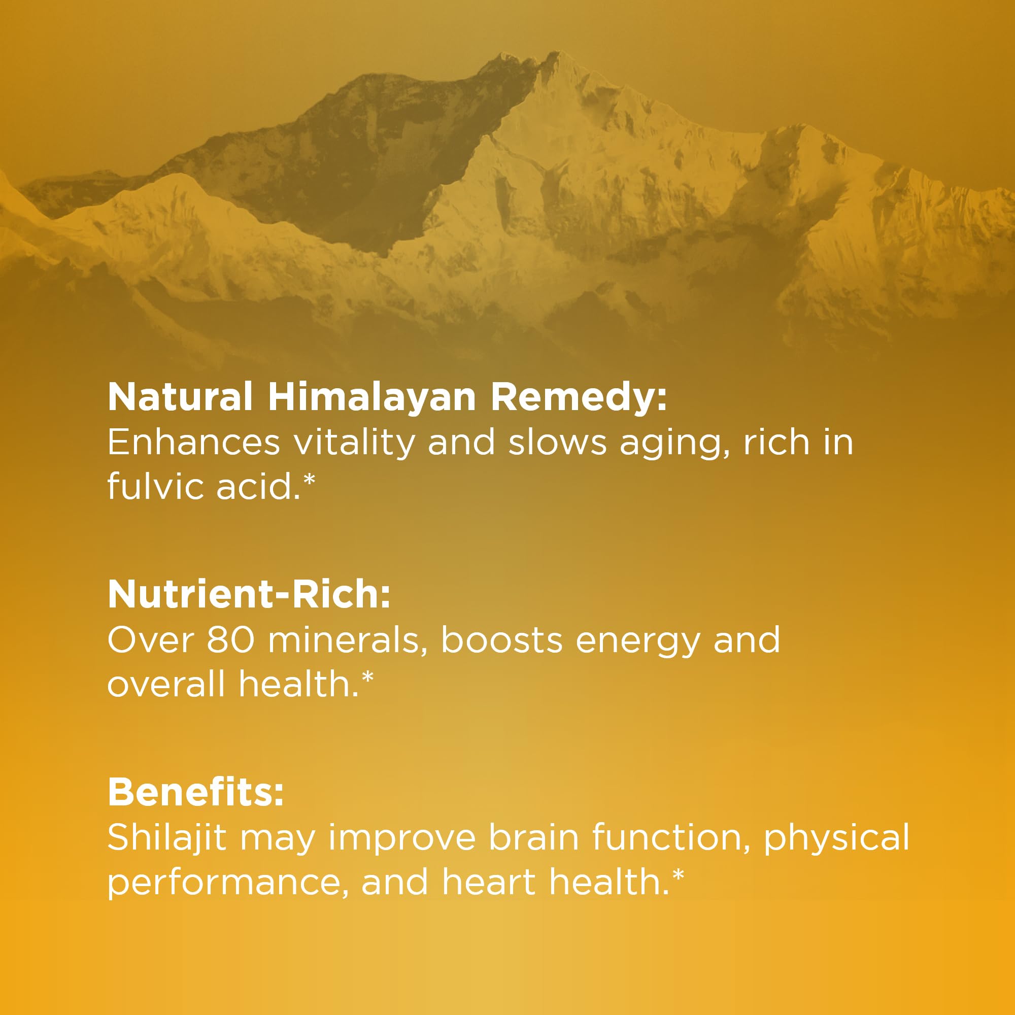 natural energy supplement with shilajit