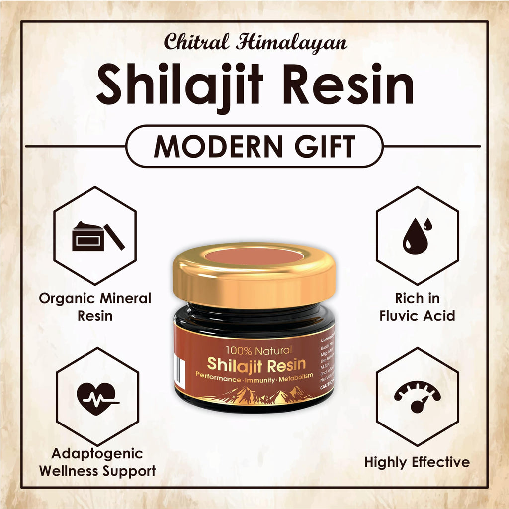 natural energy supplement with shilajit