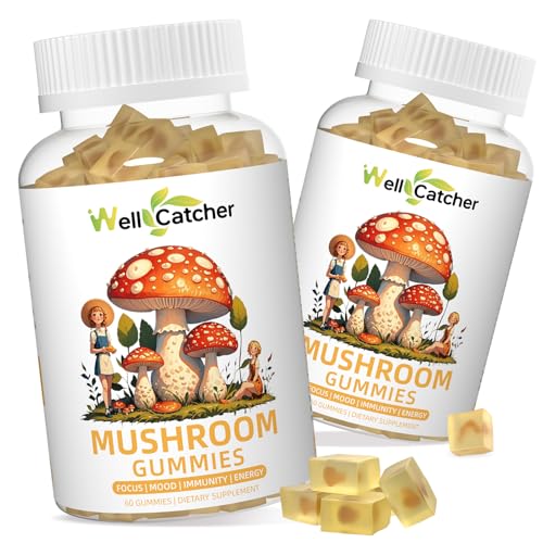 natural energy supplements with mushrooms