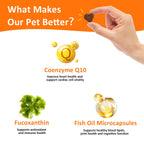 natural energy support for dogs