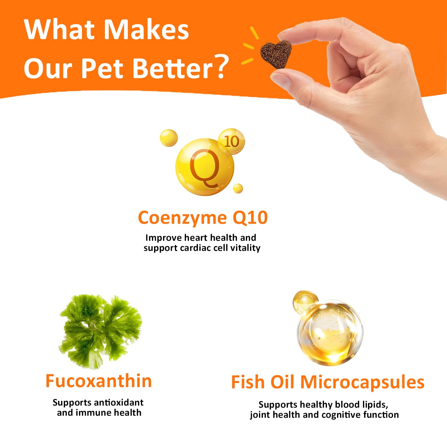 natural energy support for dogs