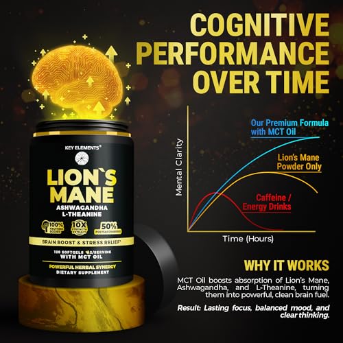 natural energy support lion's mane