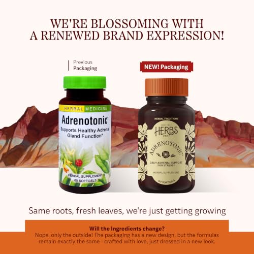 natural energy support multivitamins