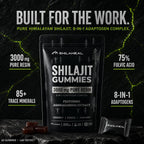Natural energy support Shilajit gummies