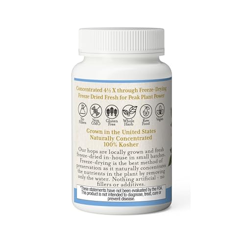 natural energy support supplements
