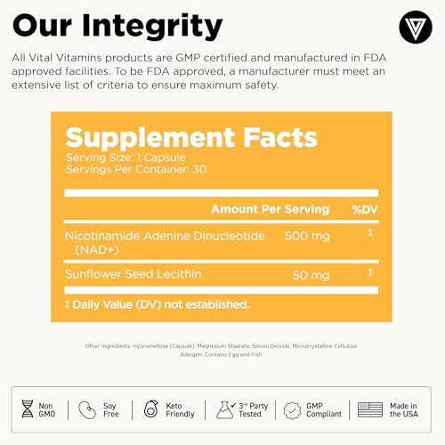 natural energy support supplements