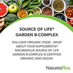 natural energy support vitamin b complex
