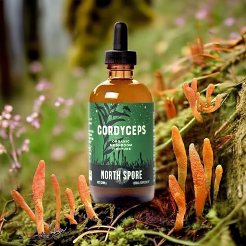 Natural energy support with cordyceps
