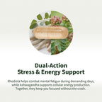 natural energy support with herbs