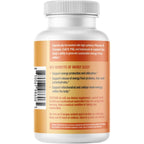 Natural energy support with InergyPLUS