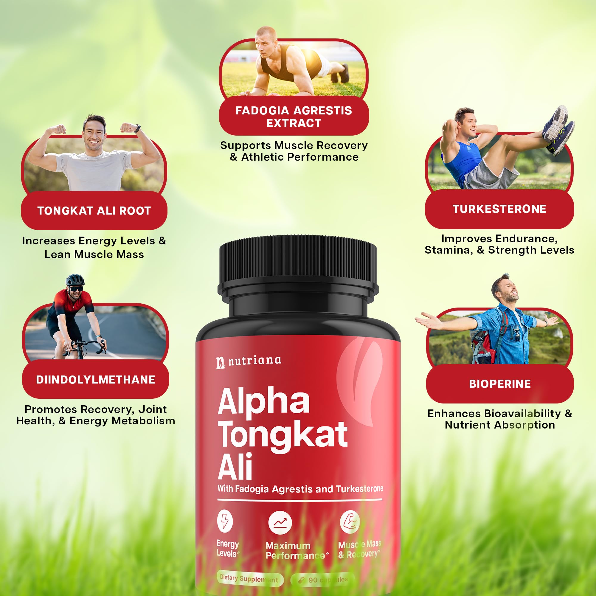 natural energy support with Longjack
