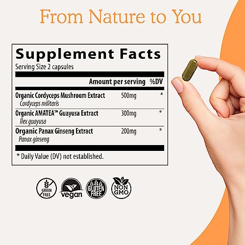Natural energy support with mushrooms