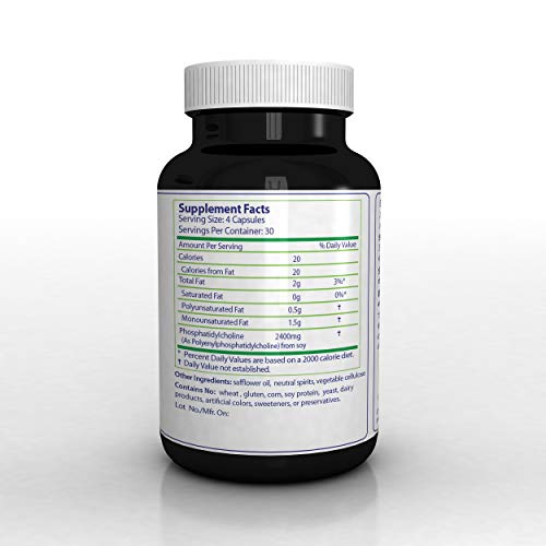natural energy support with PhoSchol