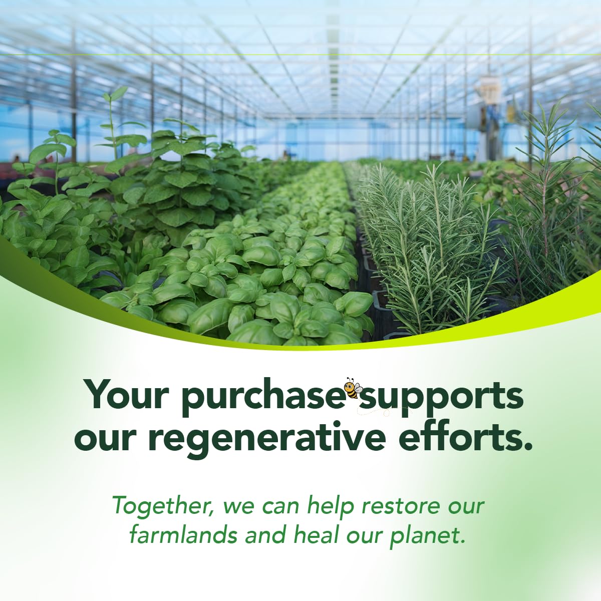Natural energy support with Resveratrol