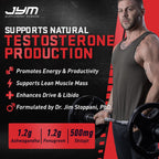 natural energy support with shilajit