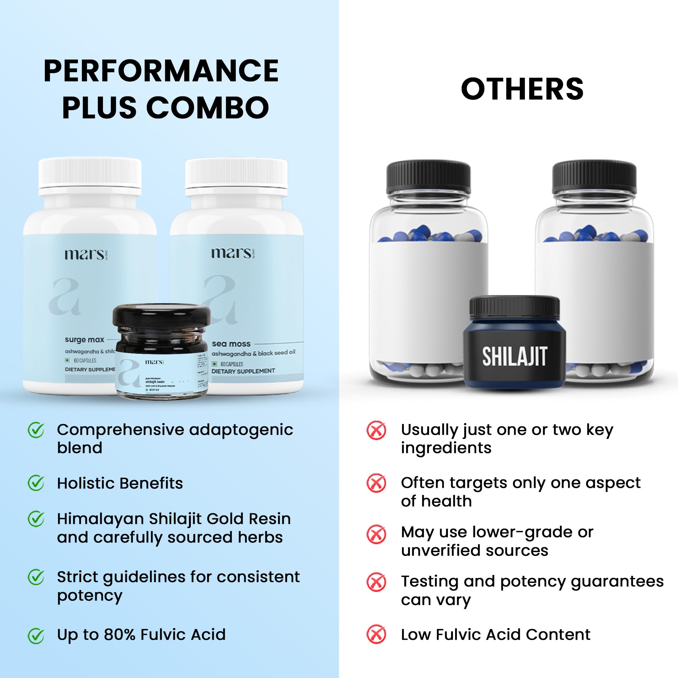 natural energy support with shilajit