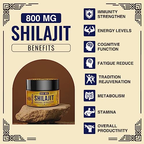 natural energy support with Shilajit