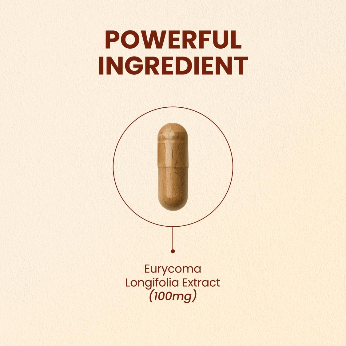 natural energy support with Tongkat Ali