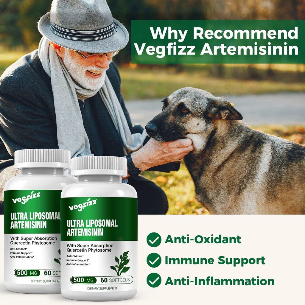natural energy support with Vegfizz
