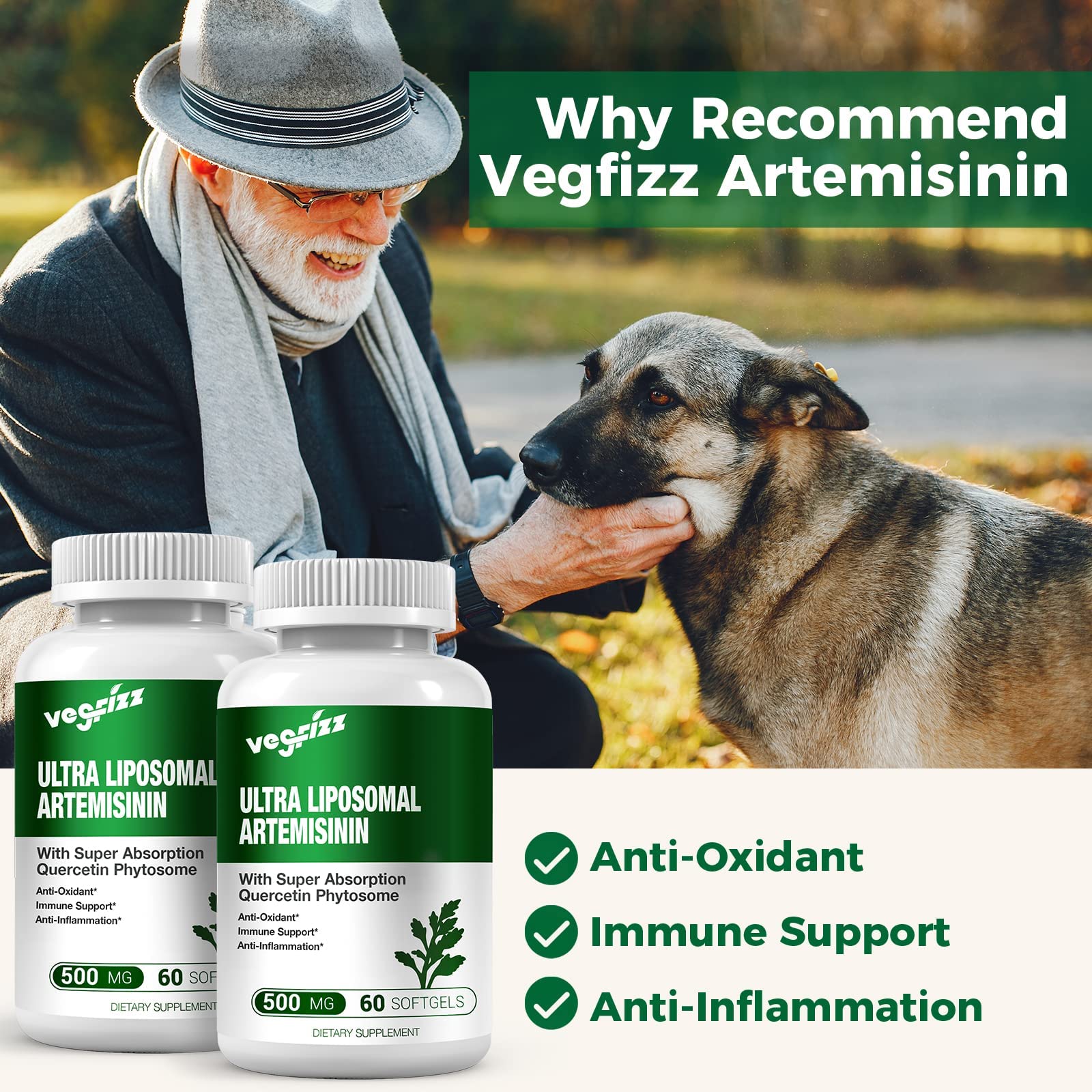 natural energy support with Vegfizz