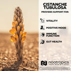 Natural energy tablets for athletes