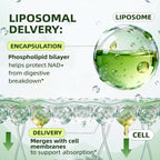 Natural energy with NAD resveratrol