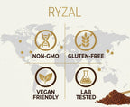 natural energy with RYZAL mushroom coffee