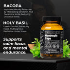 Natural energy with Santa Cruz nootropics