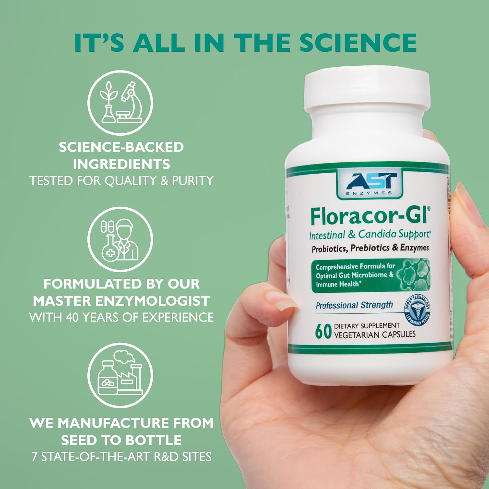 natural enzyme formula for digestion