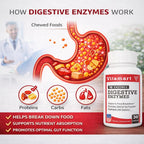 Natural enzymes for improved nutrient absorption