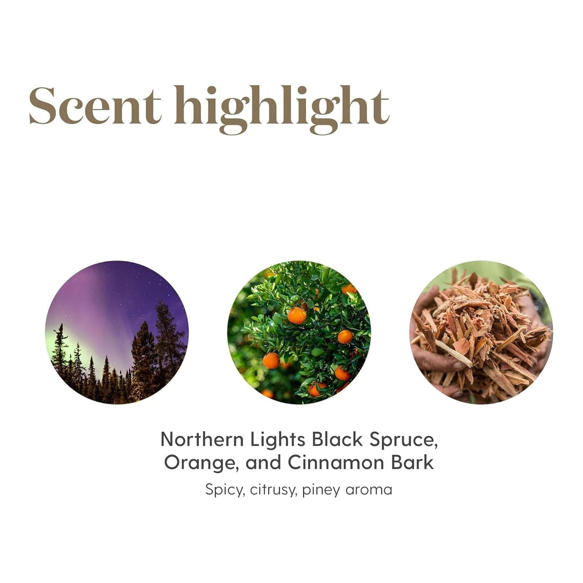 natural essential oil for Christmas cheer