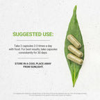 Natural eucalyptus capsules for wellness