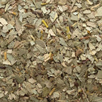 natural eucalyptus leaf infusion