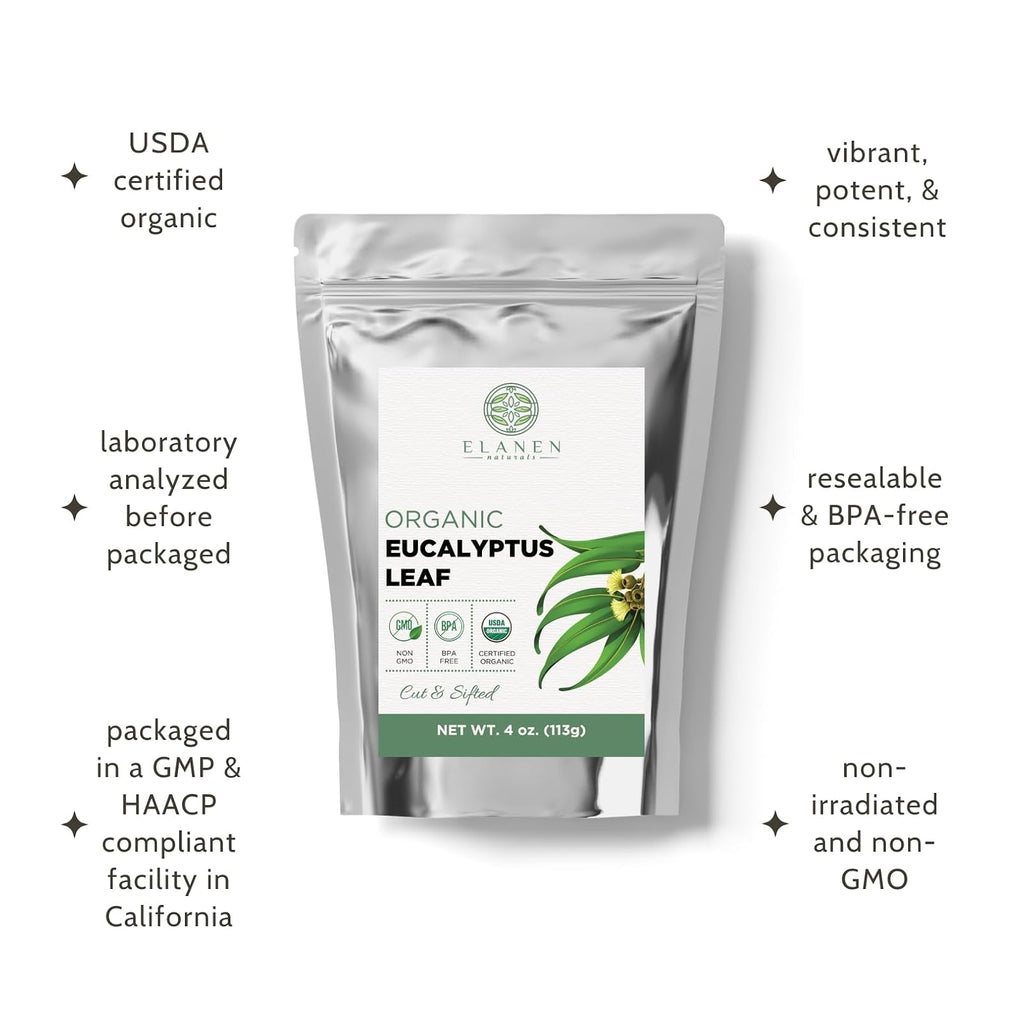 natural eucalyptus leaf tea infusion