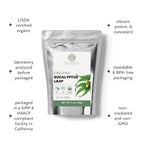 natural eucalyptus leaf tea infusion