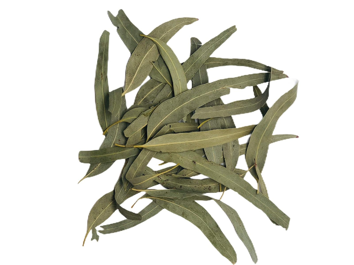 Natural eucalyptus leaves for herbal tea