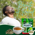 natural eucalyptus leaves for wellness