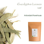 natural eucalyptus leaves for wellness