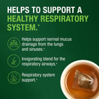 natural eucalyptus tea for relaxation
