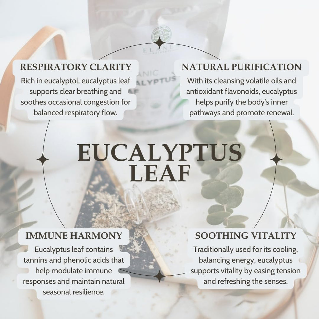 natural eucalyptus tea for wellness