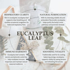 natural eucalyptus tea for wellness