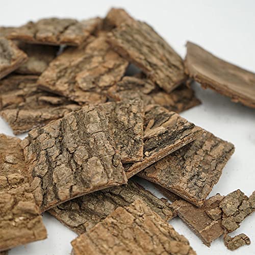 natural Eucommia Ulmoides bark benefits