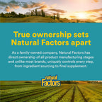 natural factors amino acids for wellness