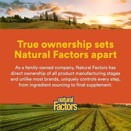 Natural Factors B Complex immune support