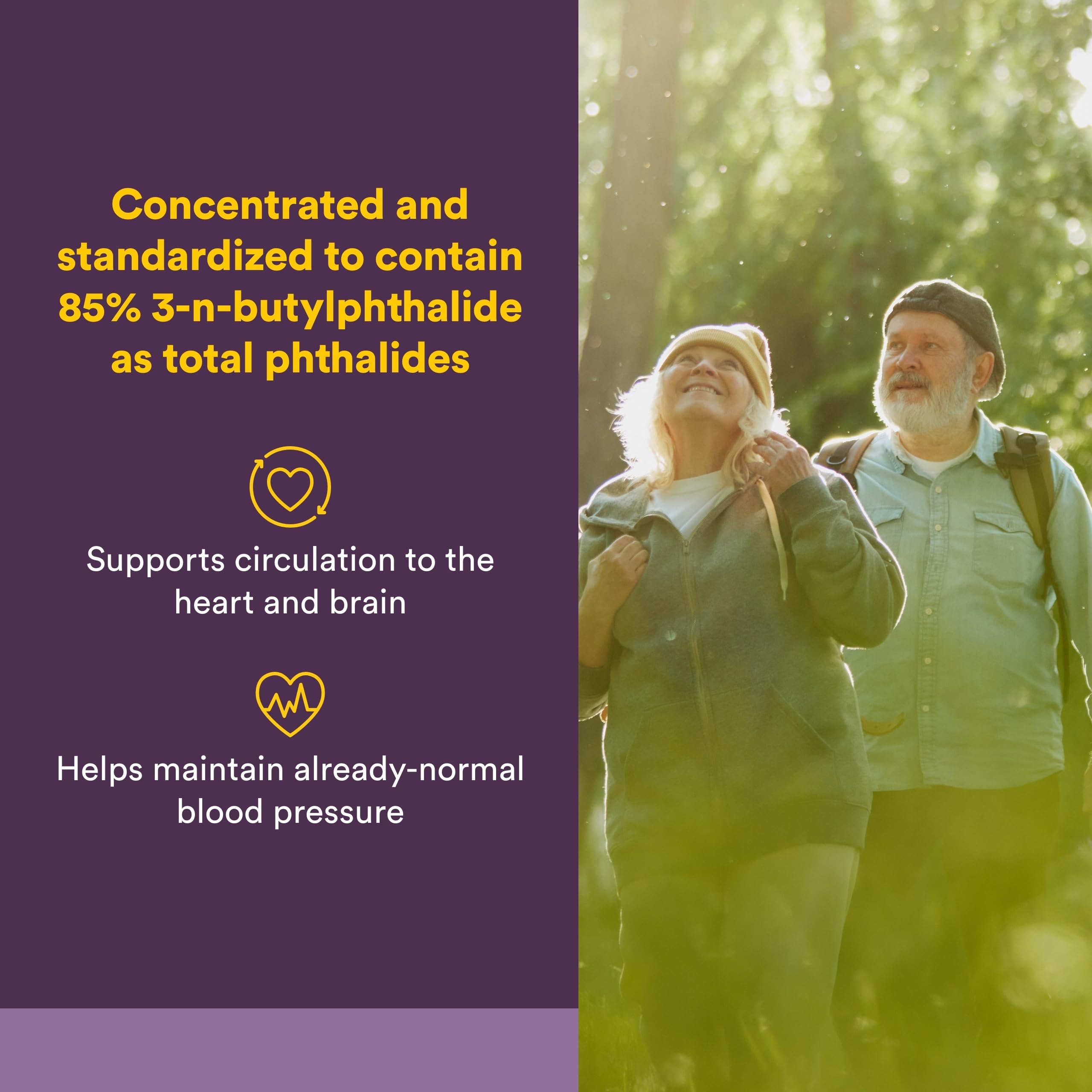 Natural factors blended vitamin support