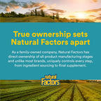 Natural Factors choline for overall wellness