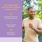 natural factors coq10 energy boost