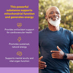 natural factors coq10 softgels benefits