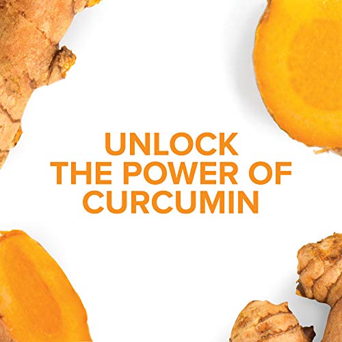 Natural Factors curcumin for mental performance